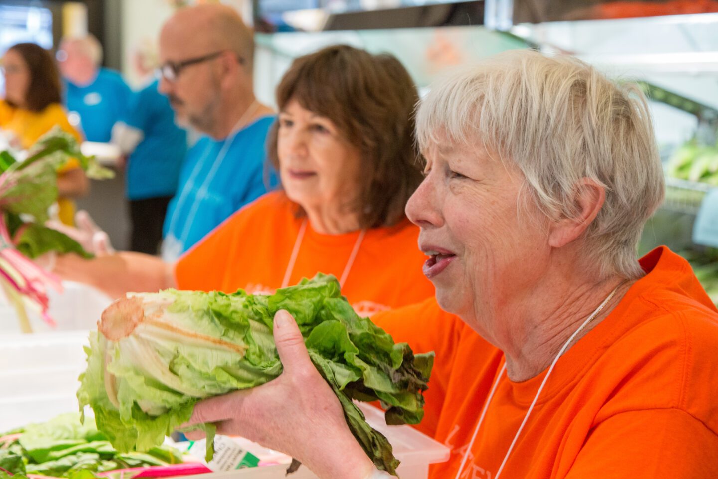 Our History | Nourishing Hope